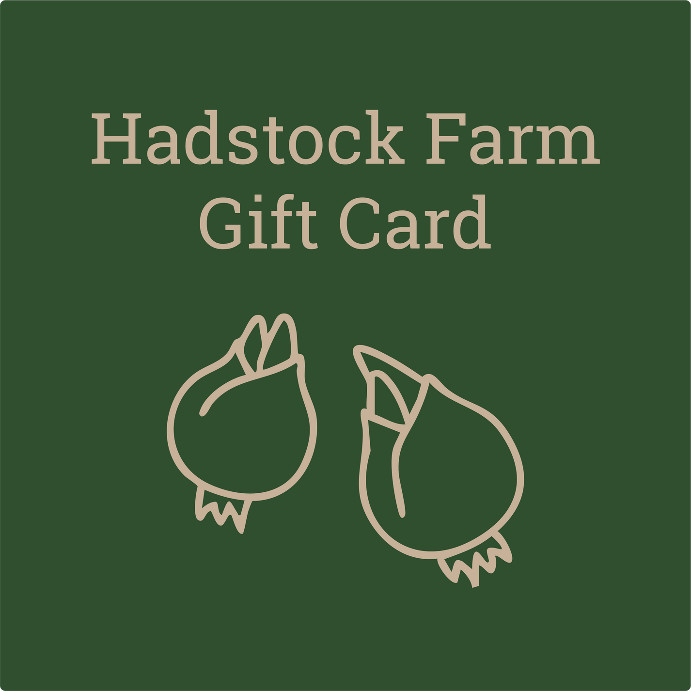 Spring bulbs and flowers | Hadstock Farm | Canterbury
